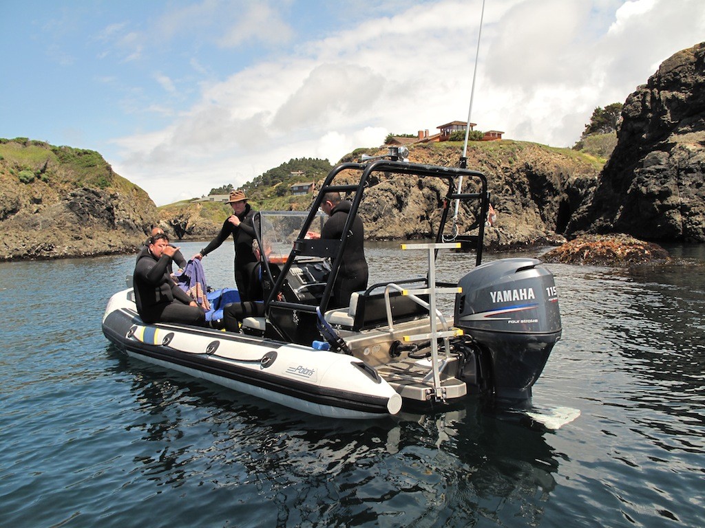 Ab Diving in Albion – Adventures With Dog