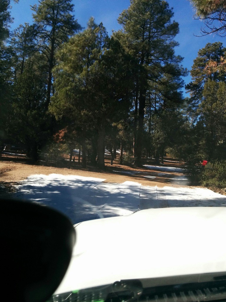 The Road Through Cherry – Adventures With Dog