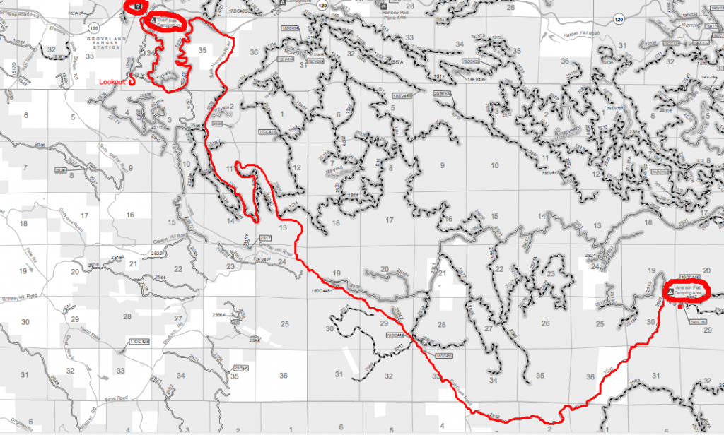 Stanislaus National Forest – Adventures With Dog