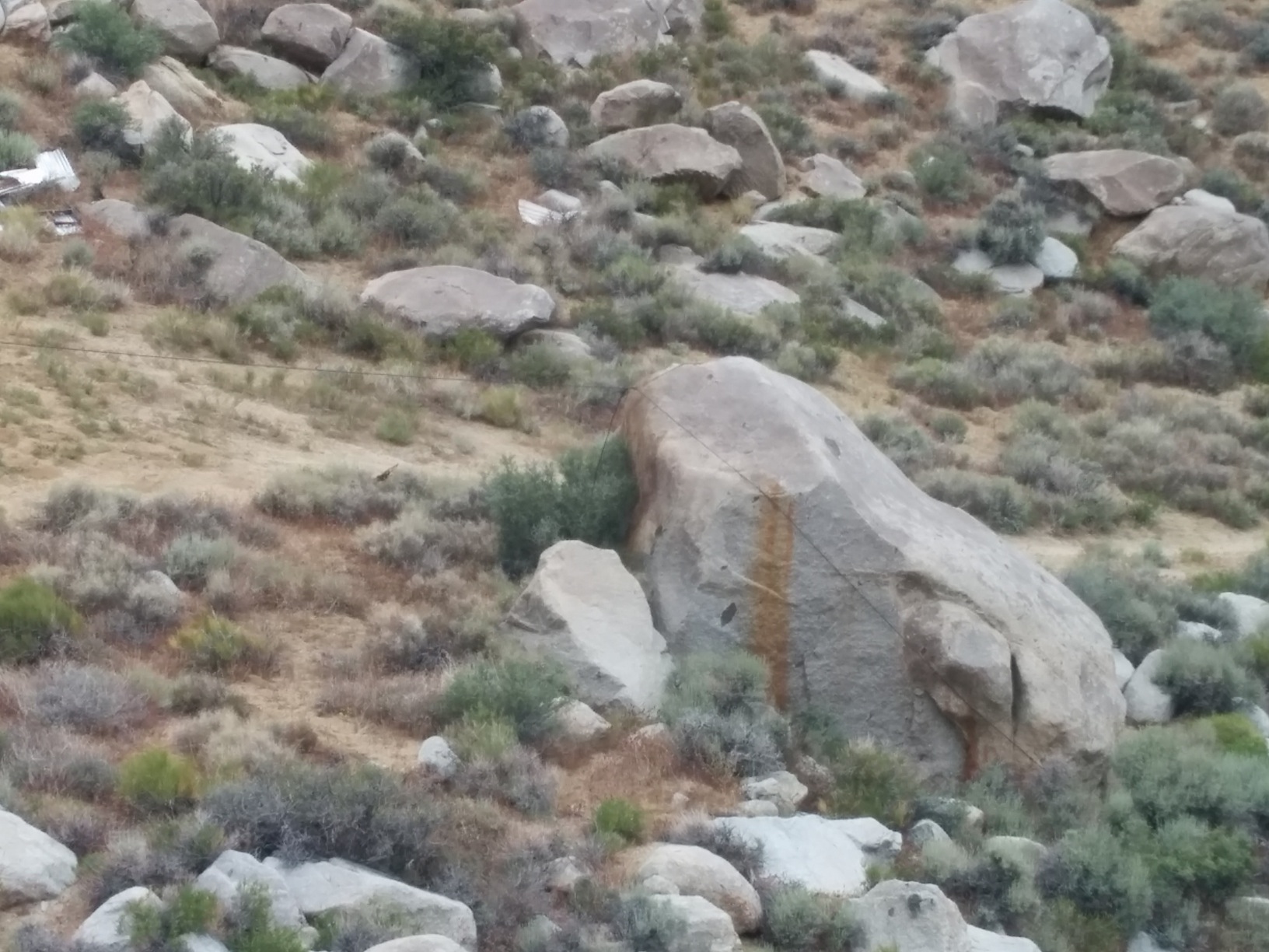 Emmett’s (Lone Tree Mill Site)22 – Adventures With Dog