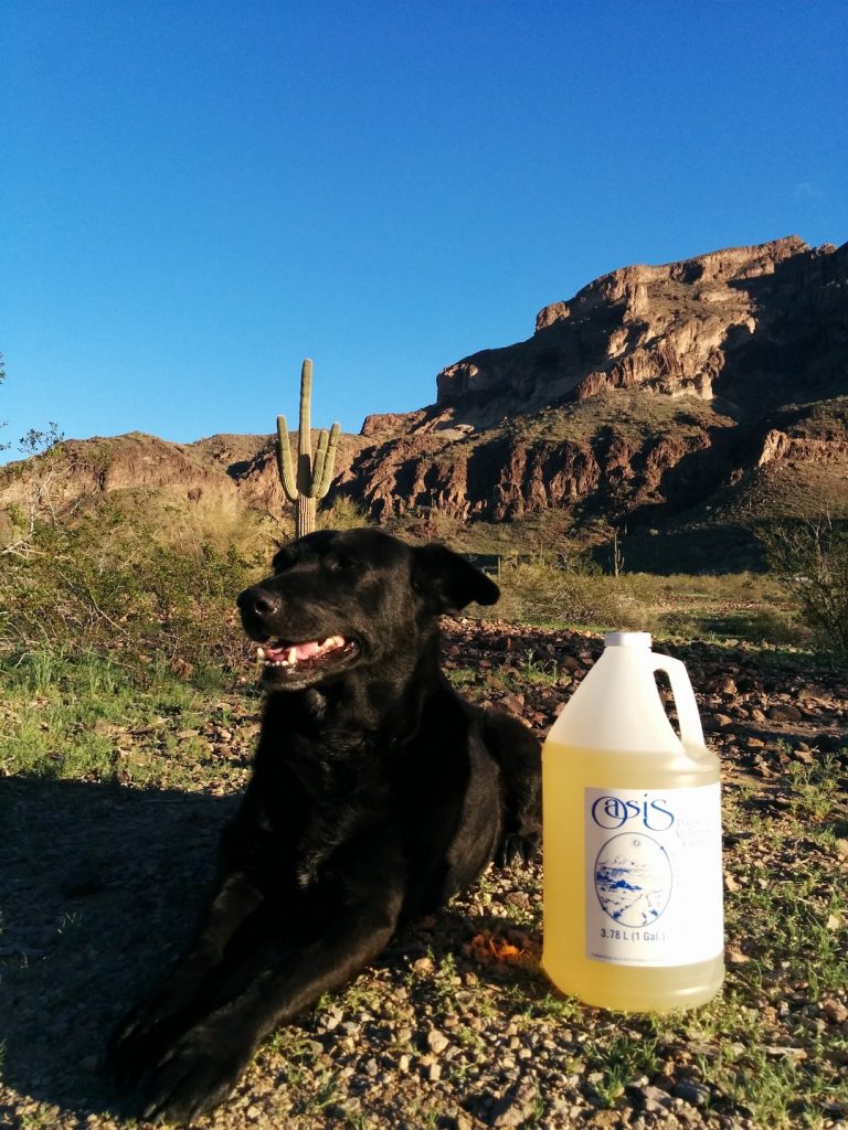 Oasis Biocompatible Cleaning Products – Adventures With Dog
