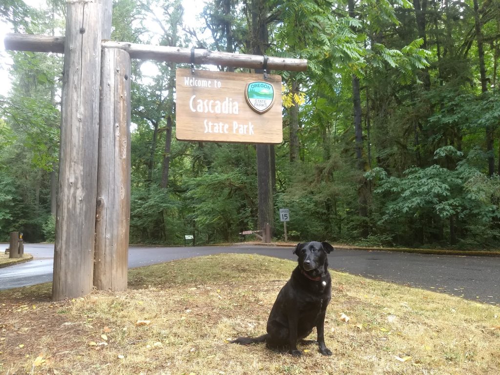 Cascadia State Park – Adventures With Dog
